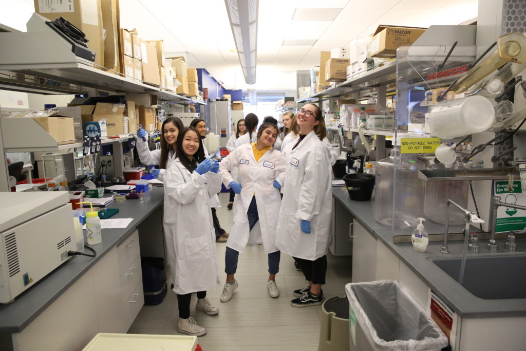 ISB Events 2018 – ISB Interns 2018