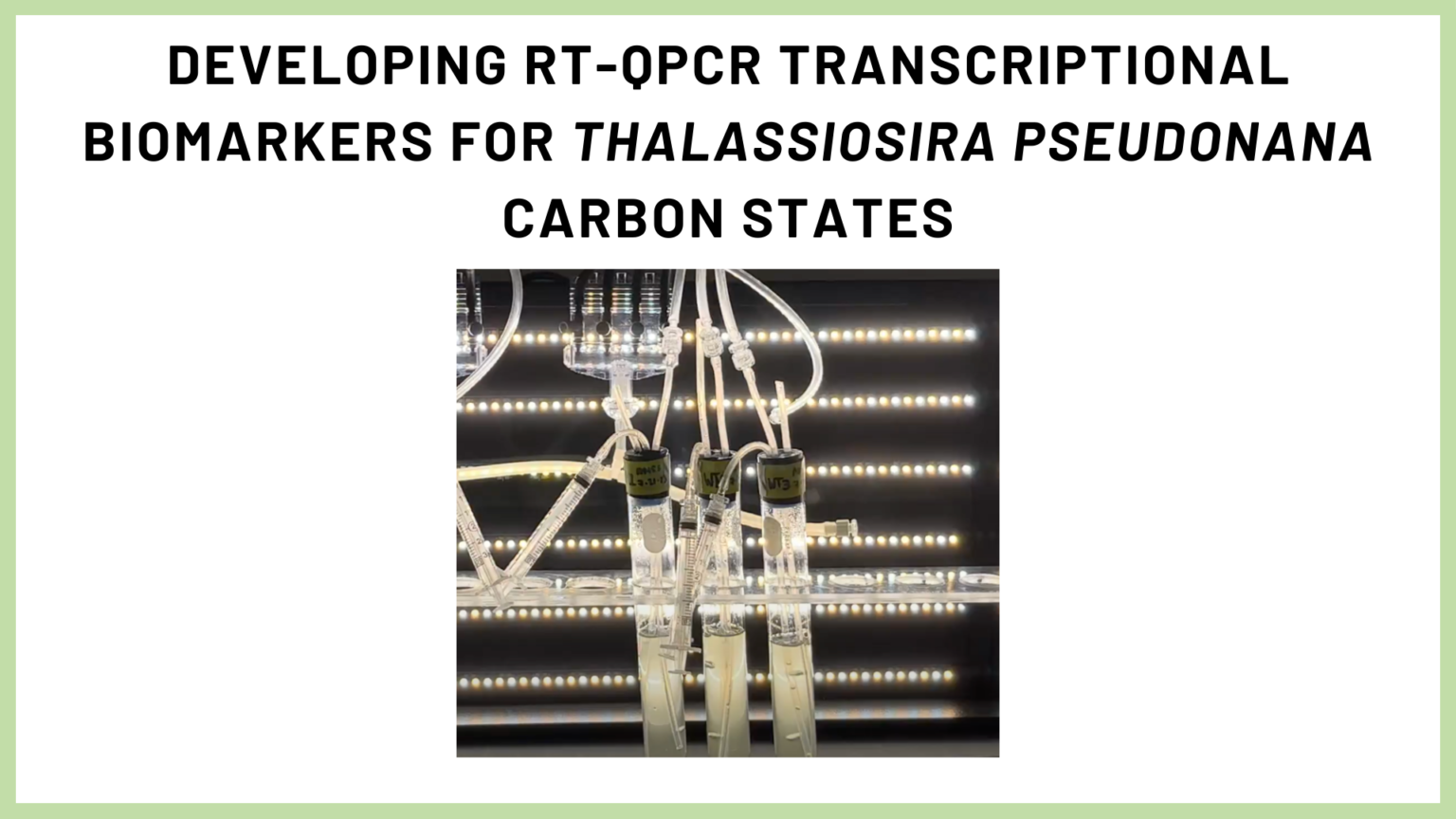 Our Projects – ISB High School Interns 2023