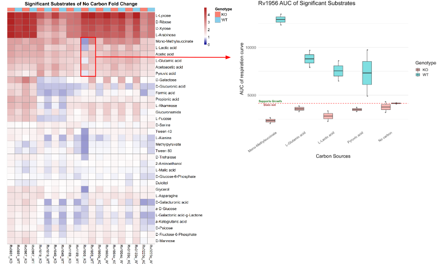 Simulation of Microbial Dynamics and Differentiation in Groundwater ...